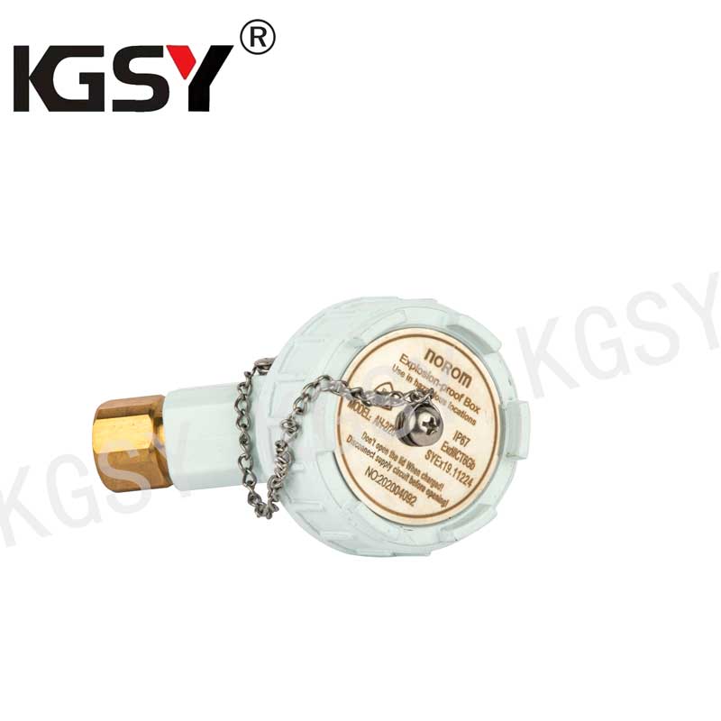 China China Famous Festo solenoid valve Supplier – KG700 XQH Explosion ...